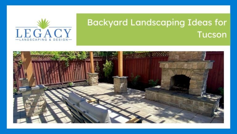 Backyard Landscaping Ideas for Tucson