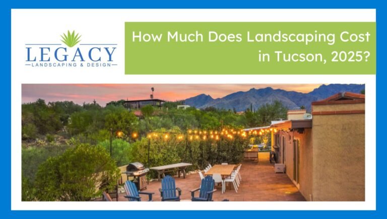 How Much Does Landscaping Cost in Tucson 2025? Pricing Guide
