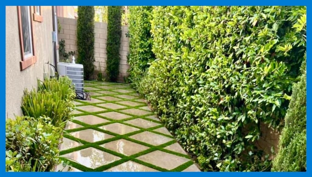 Backyard Landscaping Ideas for Tucson – Legacy Landscaping Tucson